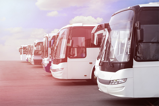 Coach and Transport Providers - Sightseeing Alliance